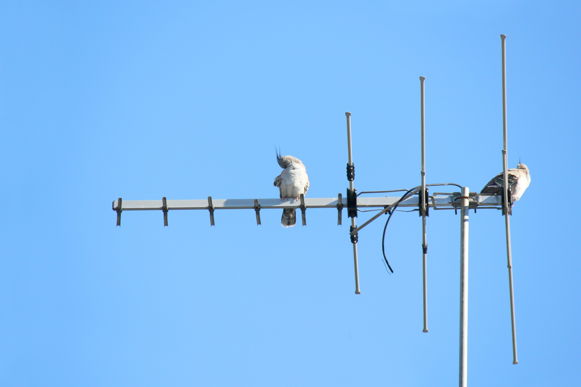 How Can I Fix Reception Issues With My High Definition TV? - Lefs TV ...